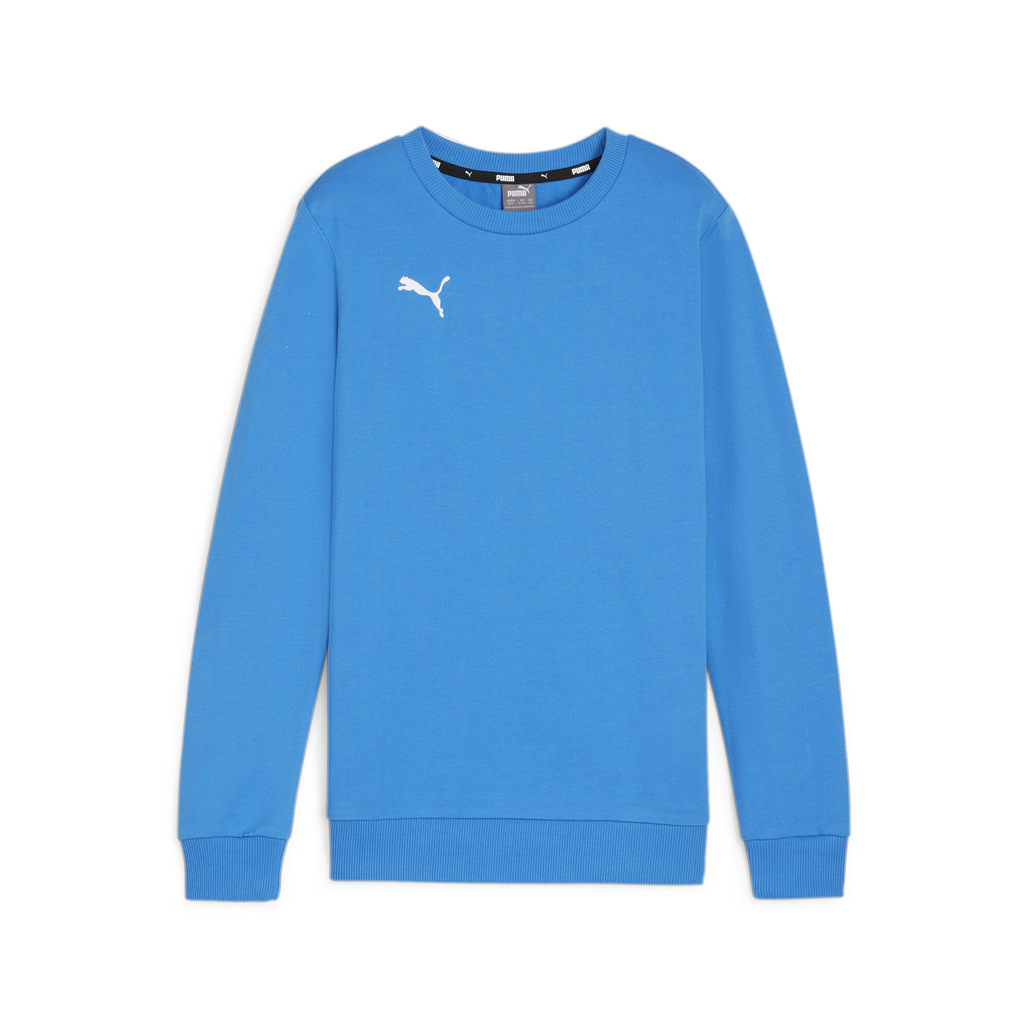Puma teamGOAL Casuals Crew Neck Sweat Jr - ignite blue