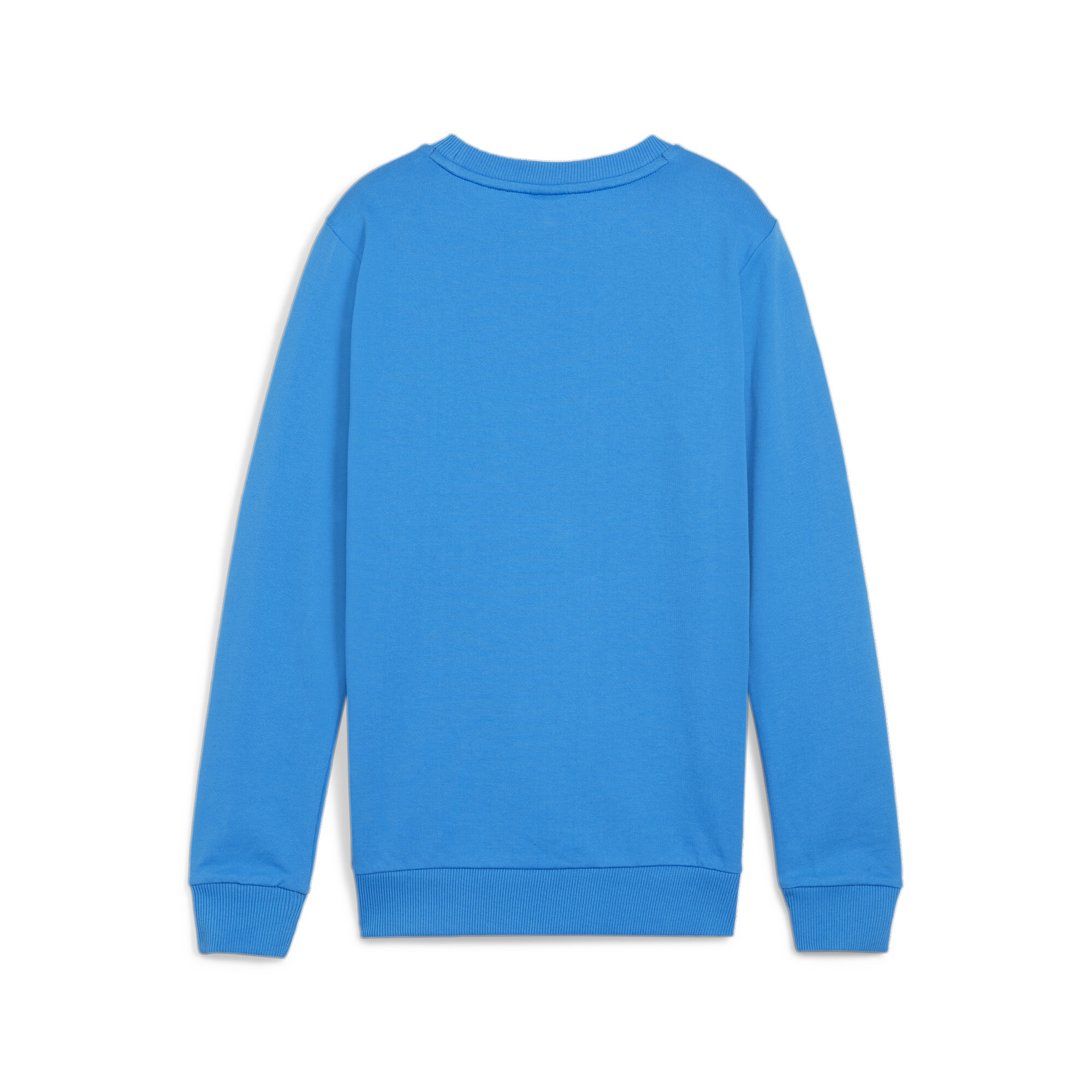 Puma teamGOAL Casuals Crew Neck Sweat Jr - ignite blue